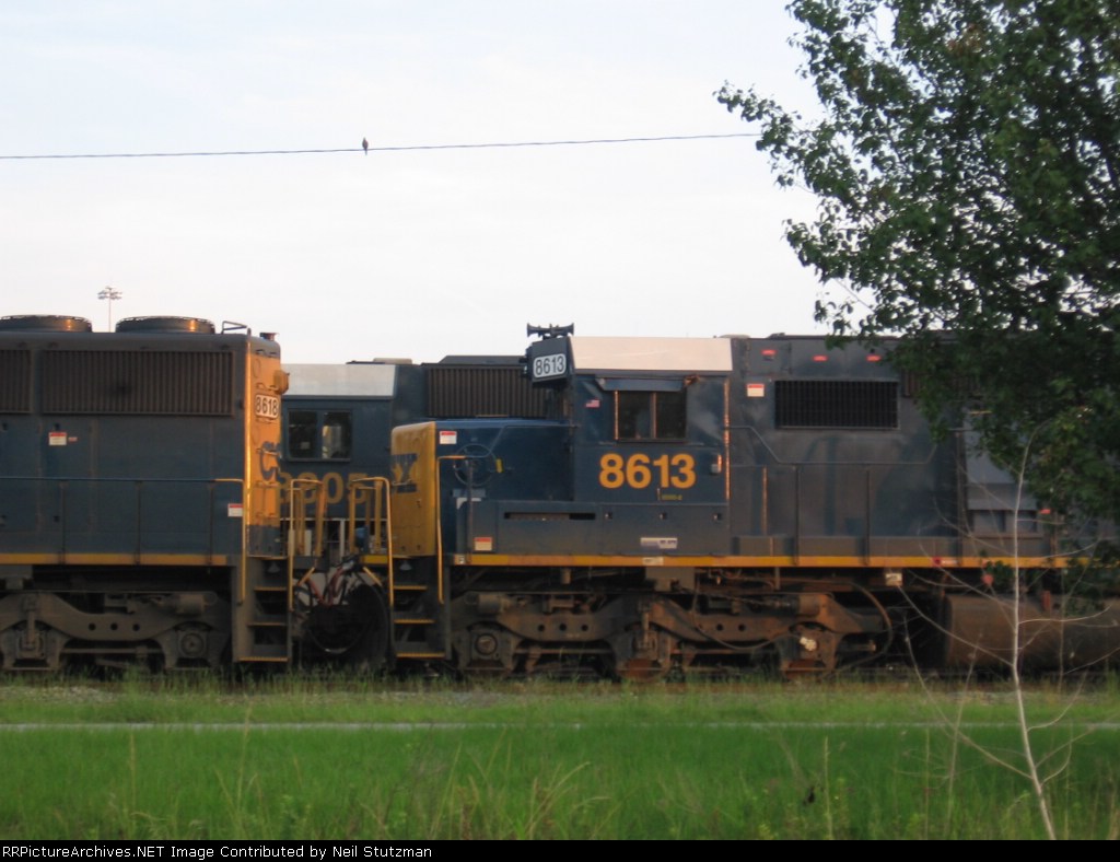 CSX 8613